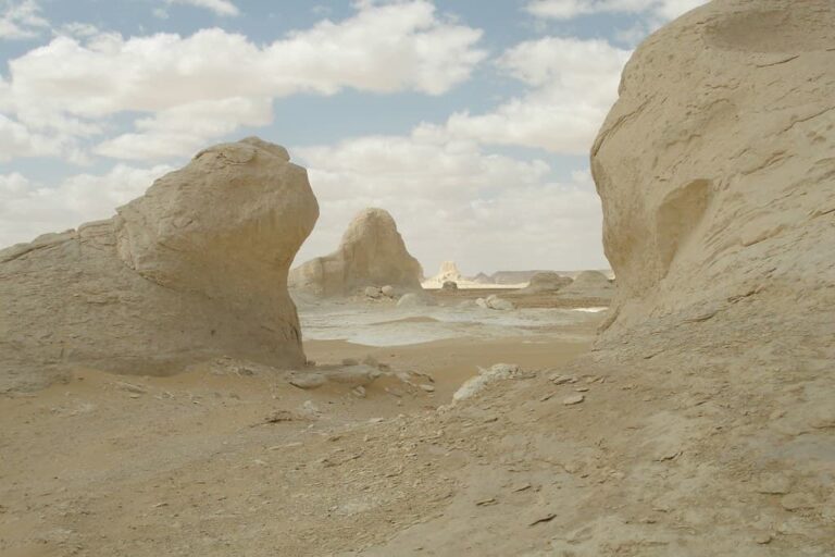 Sahara Desert Egypt | Sahara Location, Map and Animals