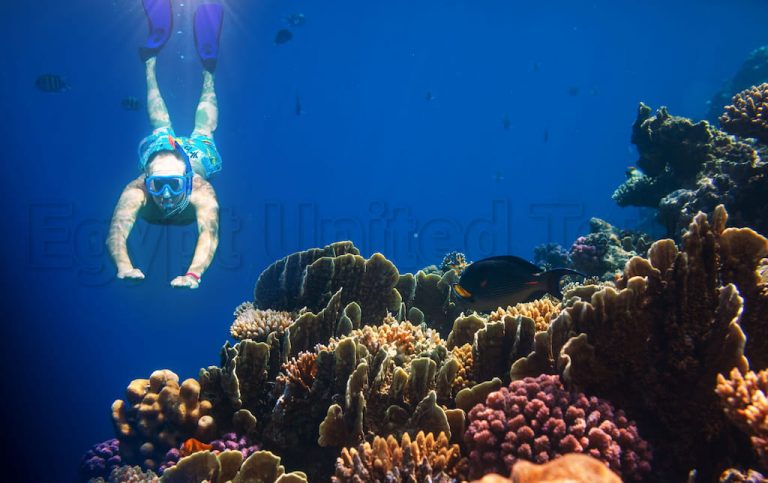 Red Sea Depth, Length and Width | 15 Facts About The Red Sea