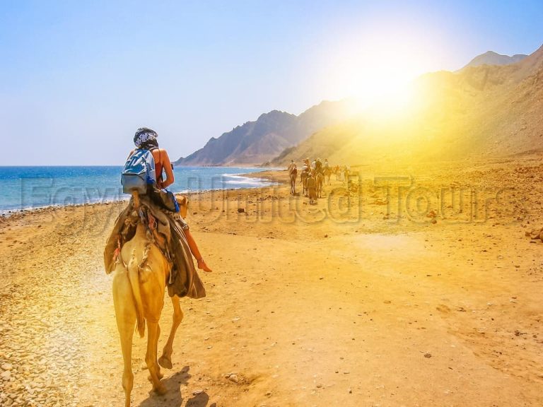 Red Sea Depth, Length and Width | 15 Facts About The Red Sea