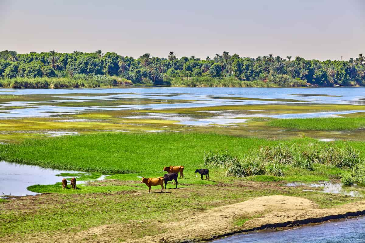 Ancient Egyptian Technology Inventions and Engineering