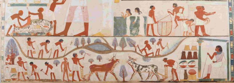 Ancient Egyptian Agriculture: Facts about its tools, and the farmers.