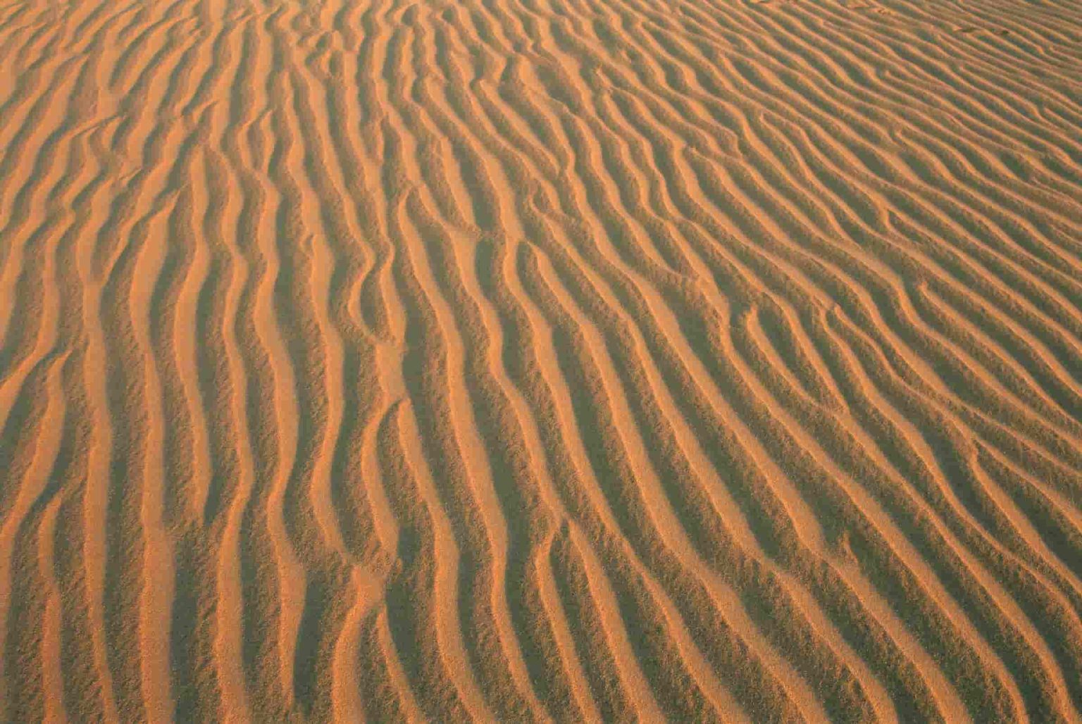 Ancient Egyptian Desert Map | Facts, Location and History 🐪 🌵☀