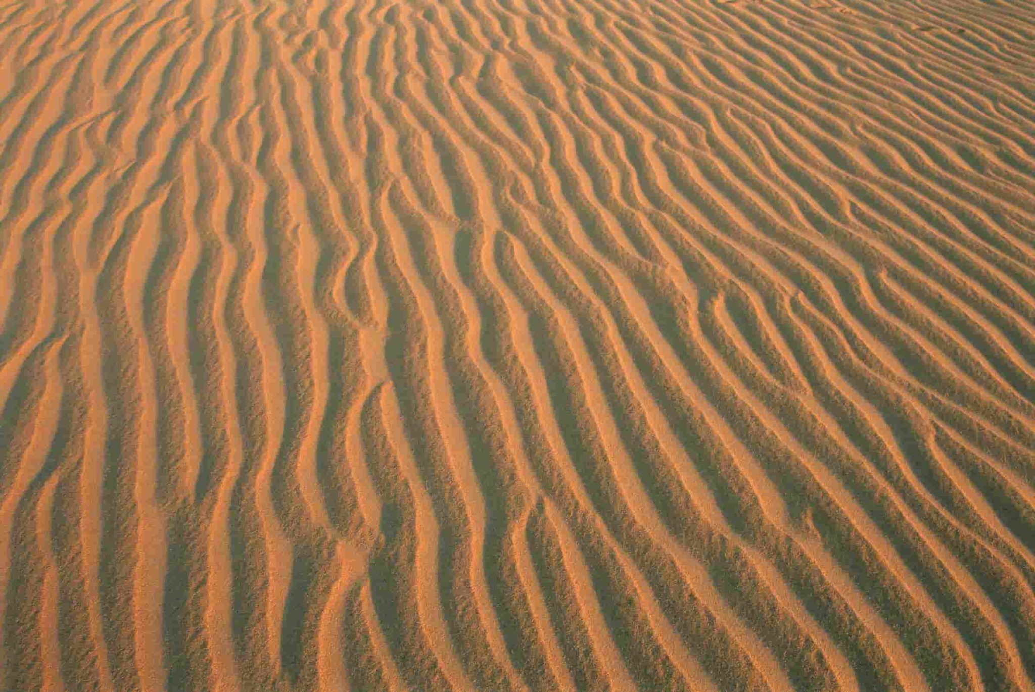 Qattara Depression: 12 best Insights Into Egypt’s Most Mysterious Landscape