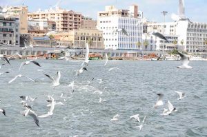 Port Said, Egypt: 11 best facts & things to do in Port Said