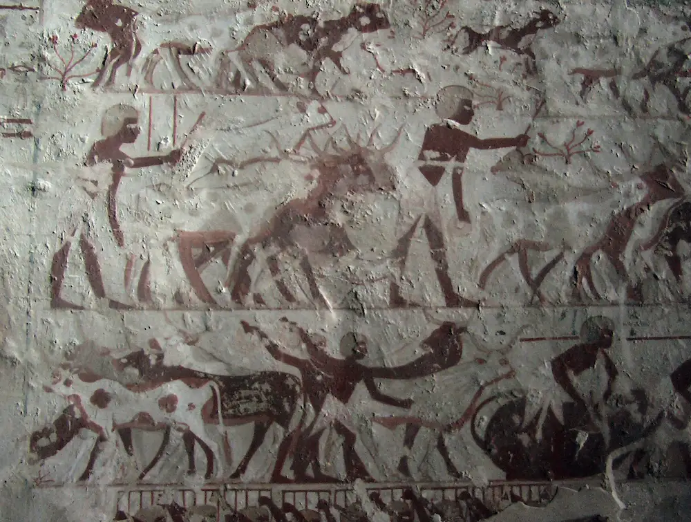 Ancient Egyptian Animals: 10 Amazing Myths and Meanings