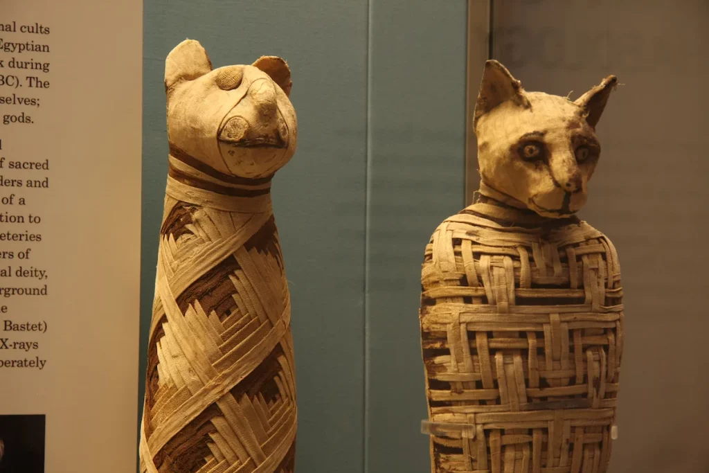 Ancient Egyptian Animals: 10 Amazing Myths and Meanings